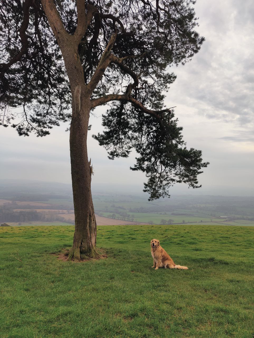 Kelly Devon photo of the day. – chewyland